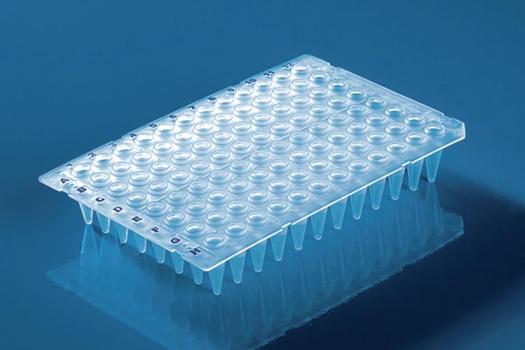 BRAND 96-Well PCR Plates, PP, White, qPCR, Pack of 50 | LabFriend Taiwan