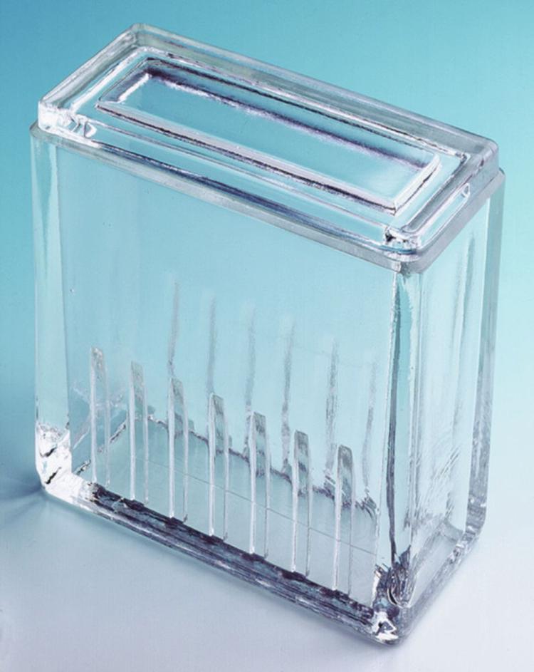 Glaswarenfabrik Glass Staining Trough Hellendahl for 16 Slides ...