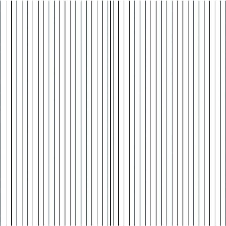 BRAND Counting Chamber ACCTO-Nageotte Blaubrand Double Ruling (without ...